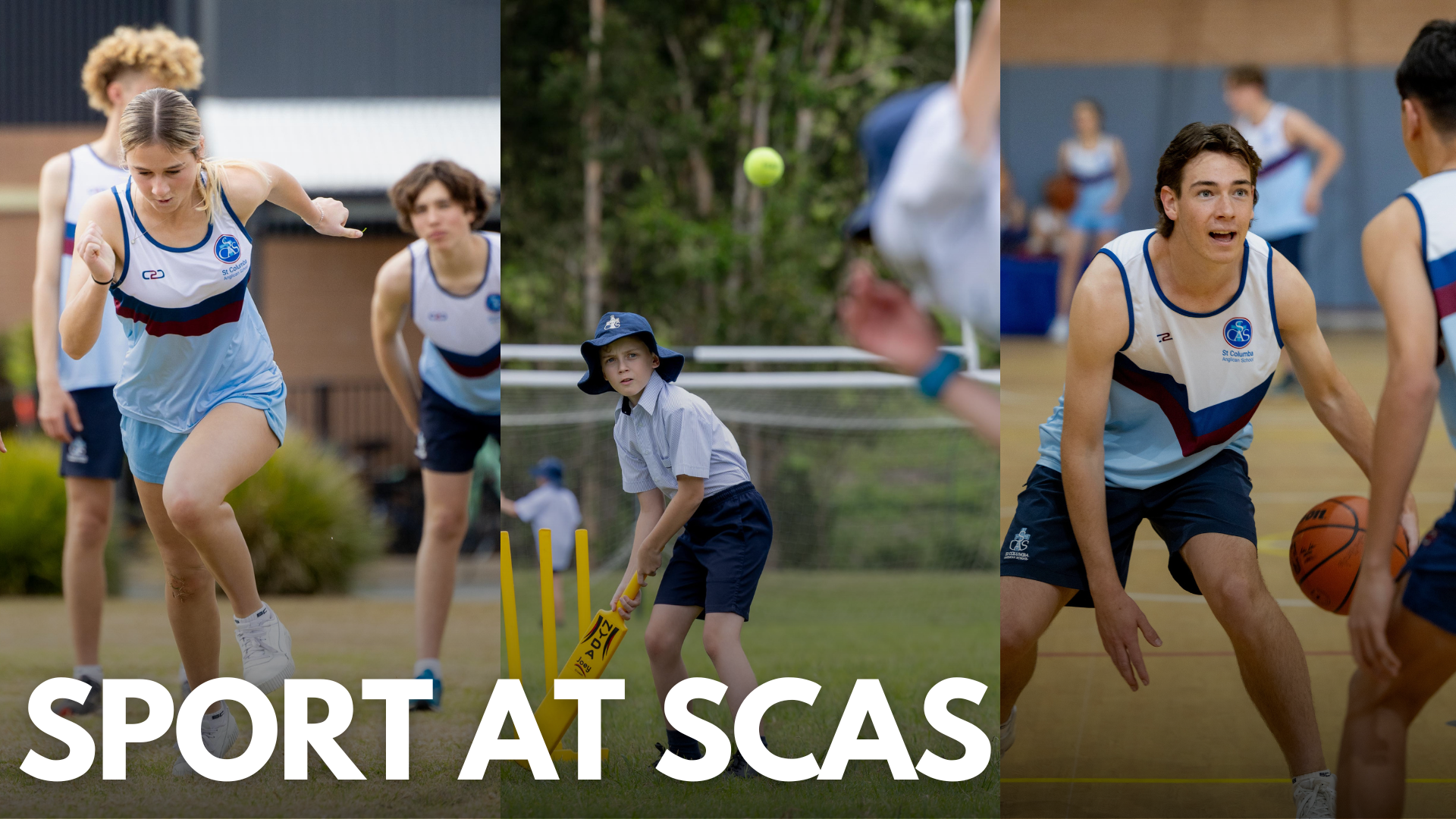 Term 3 Sport Information